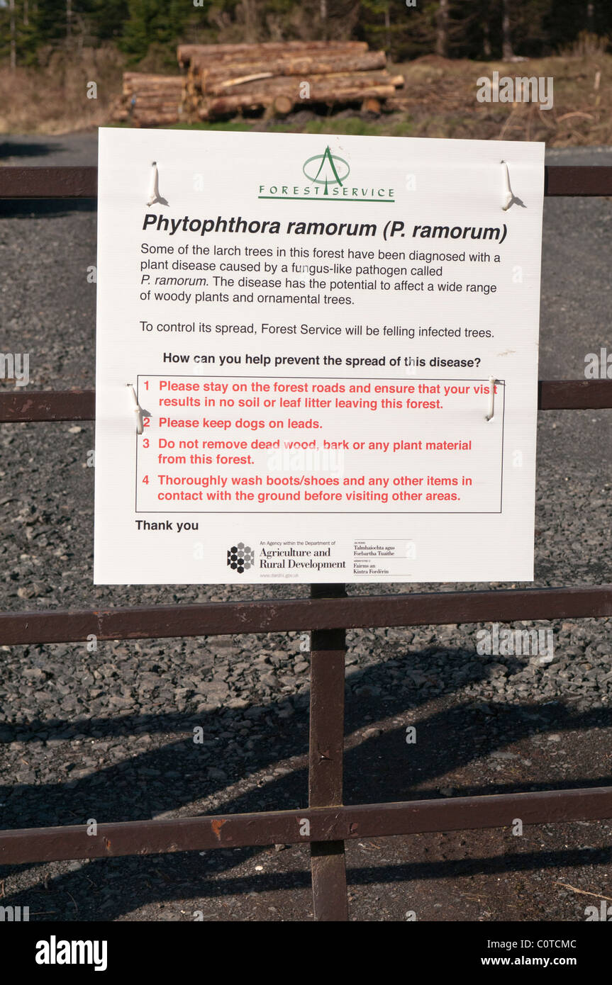 Signs at the entrance to a forest warning of the presence of ...