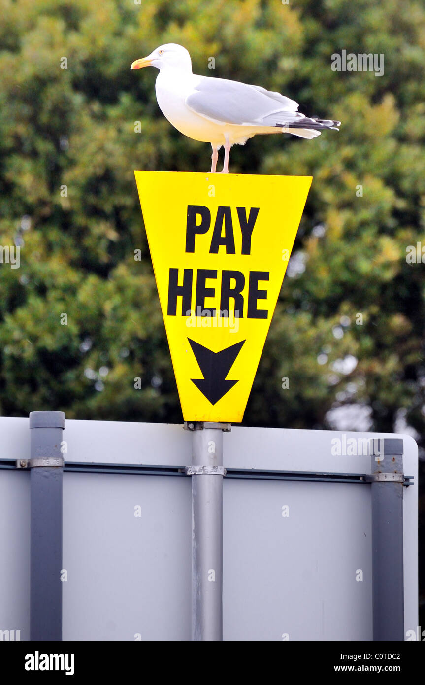 Uk pay here sign hi-res stock photography and images - Alamy