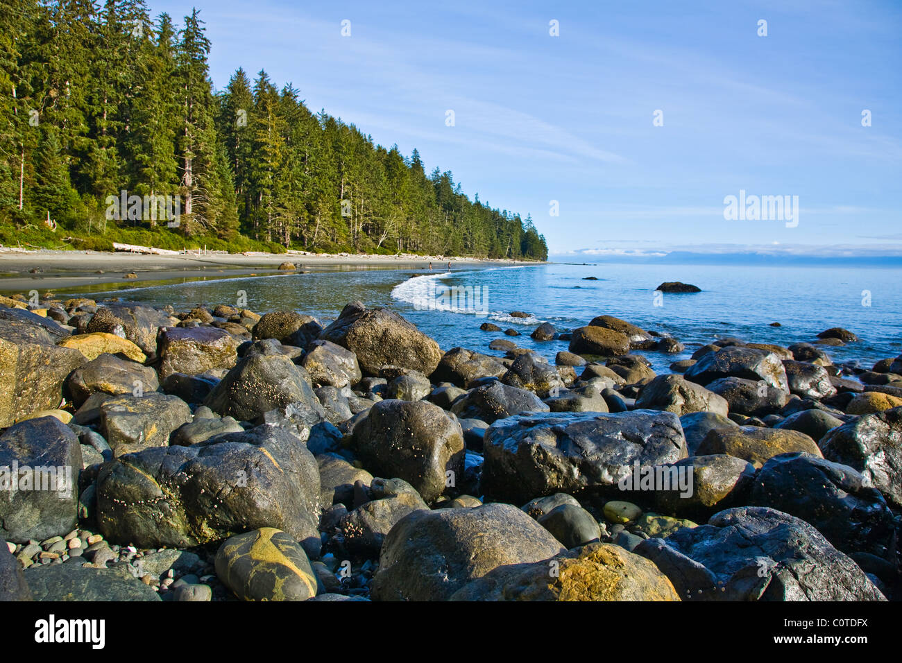 A remote wilderness beach on the south-west coast of Vancouver Island ...