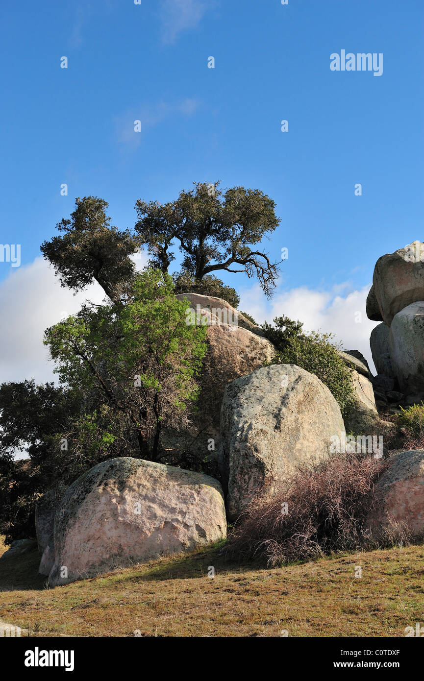 Junction ranch hi-res stock photography and images - Alamy