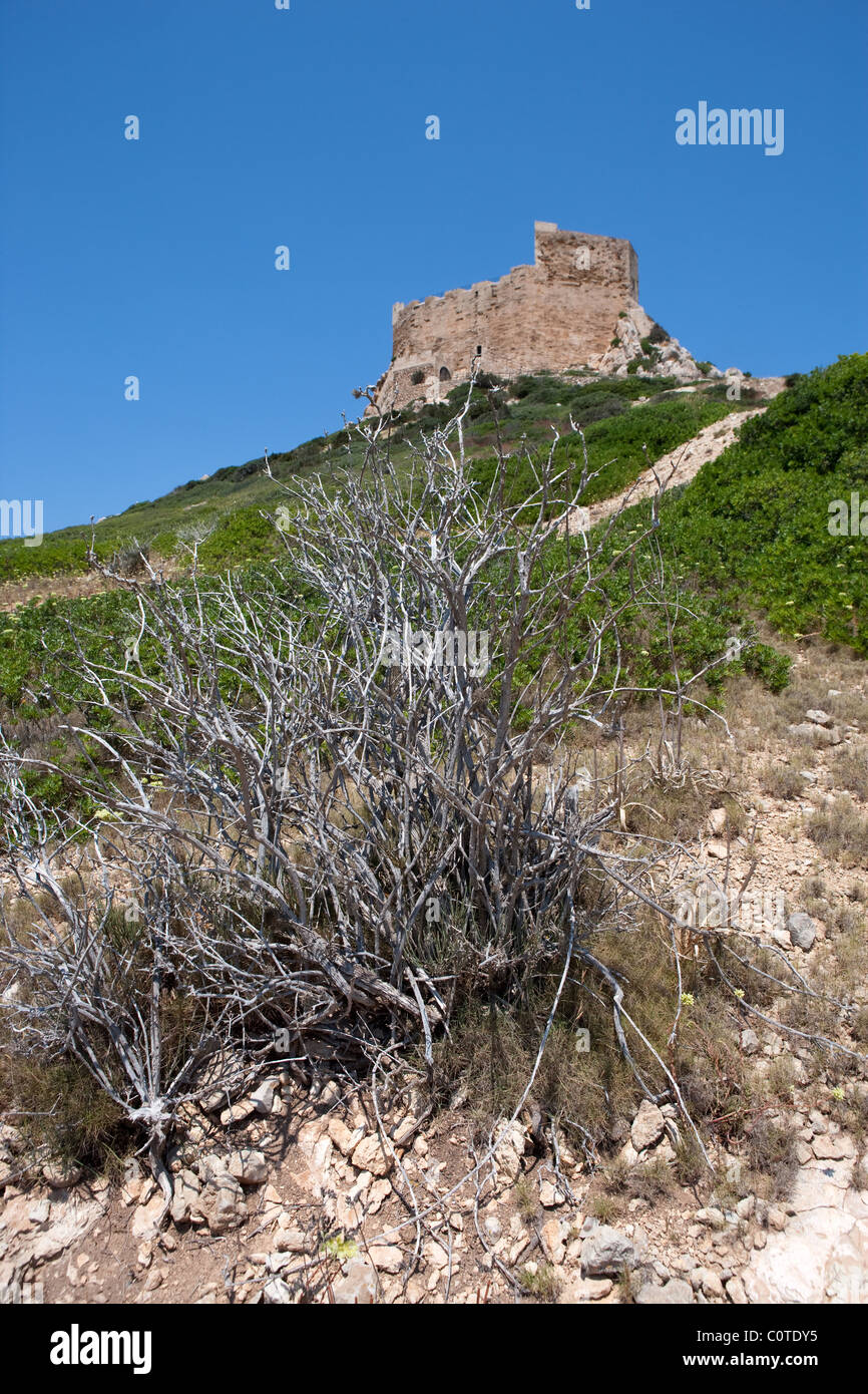 Cabrera island National reserve isle Mallorca Majorca Balearic isles ...