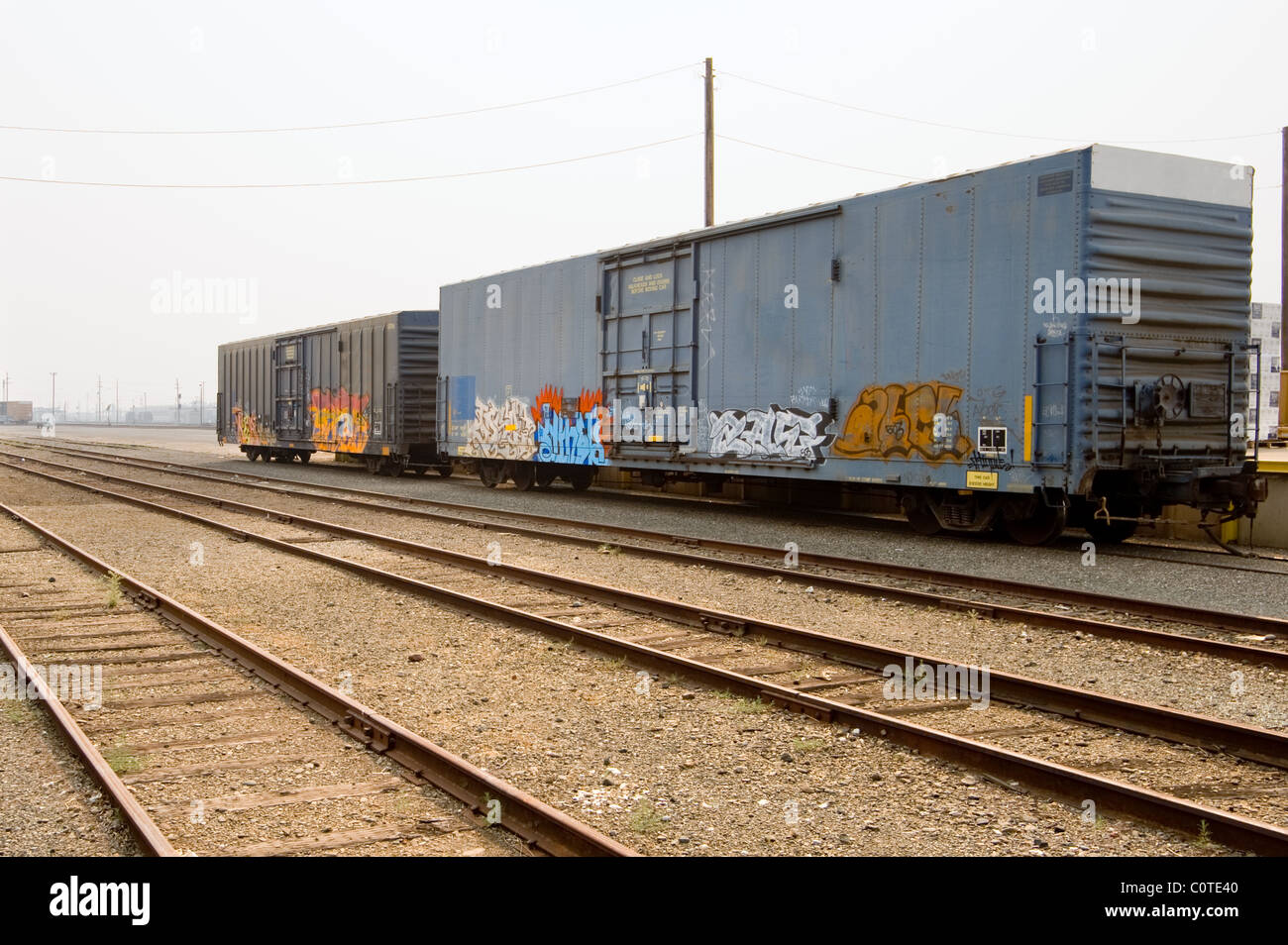 Train cars with graffiti in the background and railroad in foreground ...