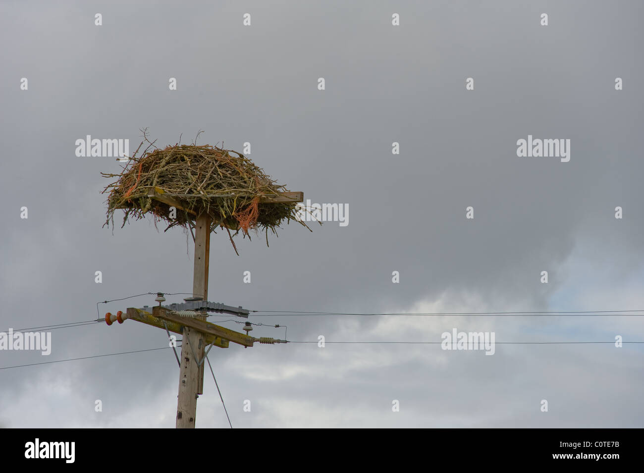 Eagle nest of pole hi-res stock photography and images - Alamy