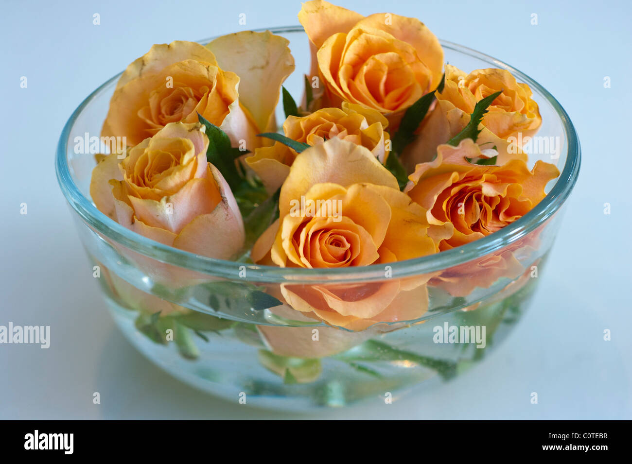 Orange roses in a glass bowl Stock Photo - Alamy