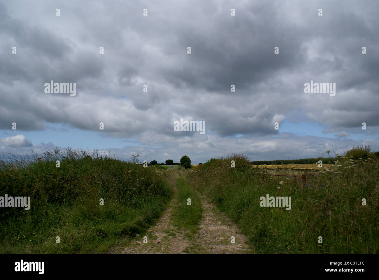 Uk dirt hi-res stock photography and images - Alamy