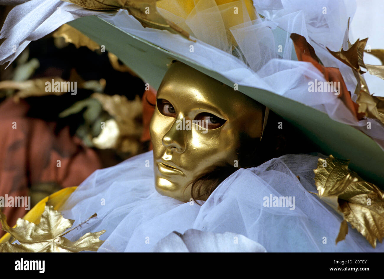 Italy Venice Carnival elaborate dressed costumed for Carnival Stock ...