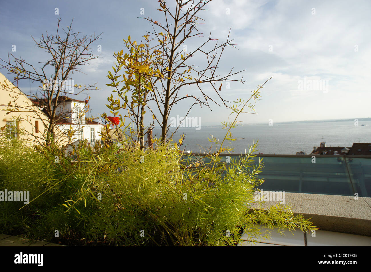 Open air roof terrace hi-res stock photography and images - Alamy