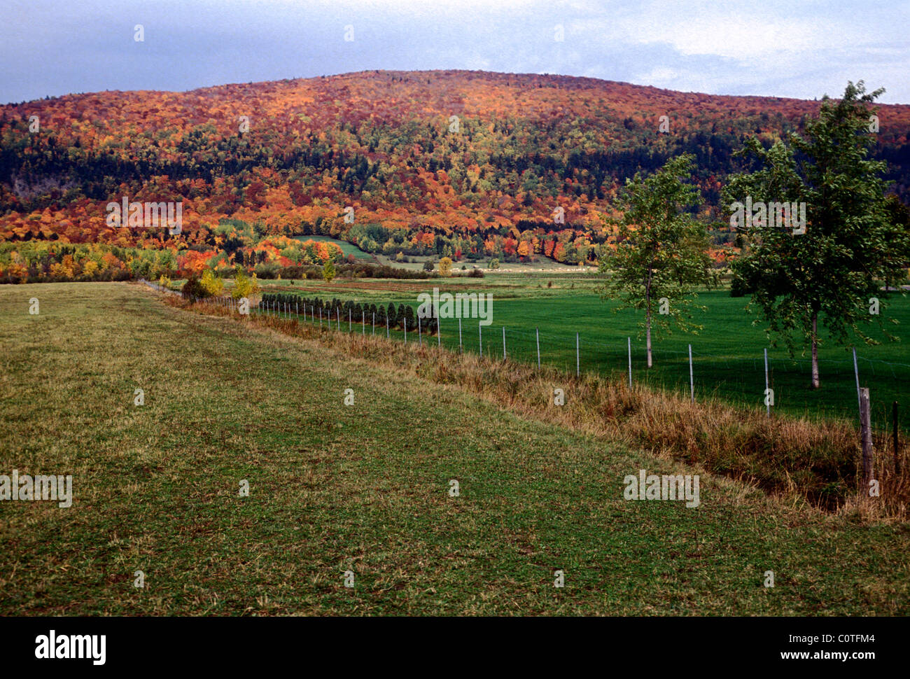wildlife refuge, Cap Tourmente National Wildlife Reserve, Quebec ...