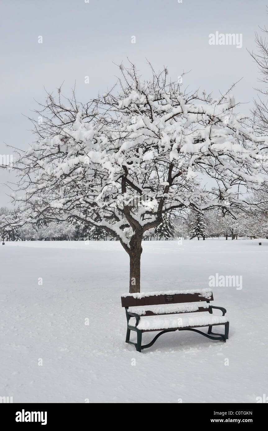 Bench snow park new york hi-res stock photography and images - Alamy