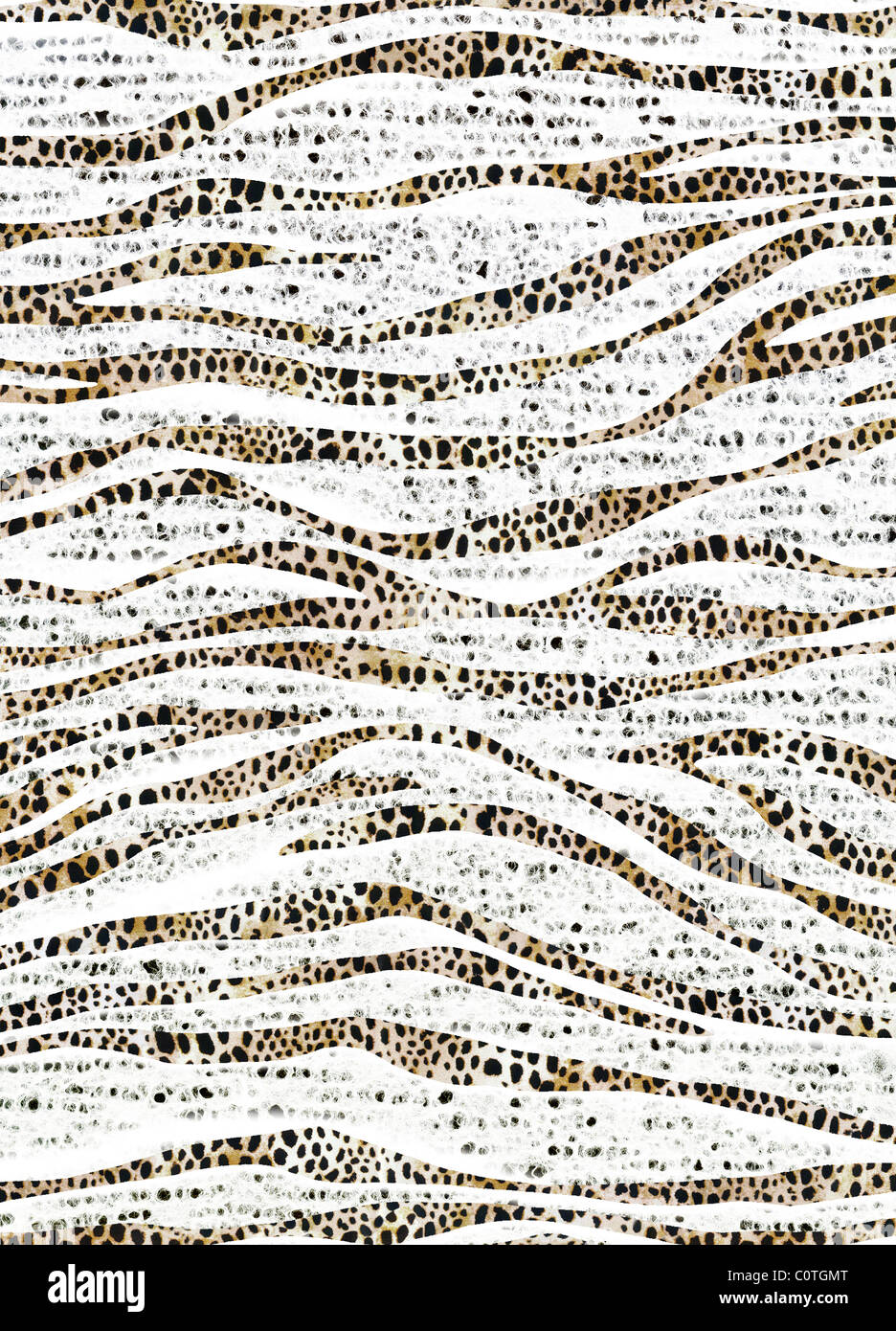 Zebra texture beige white black hi-res stock photography and images - Alamy