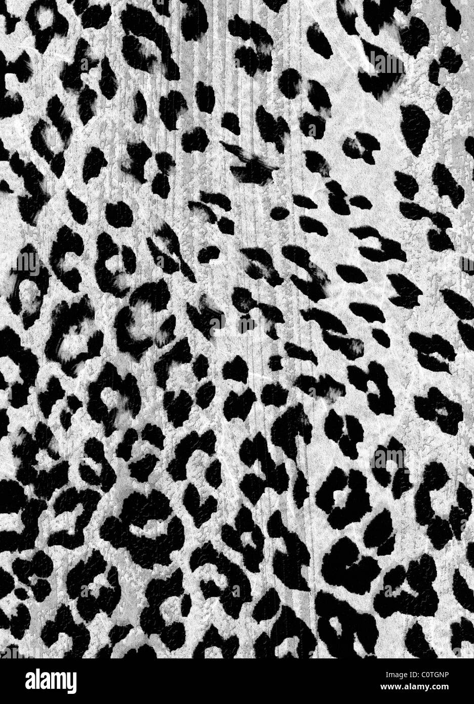 Leopard pattern hi-res stock photography and images - Alamy