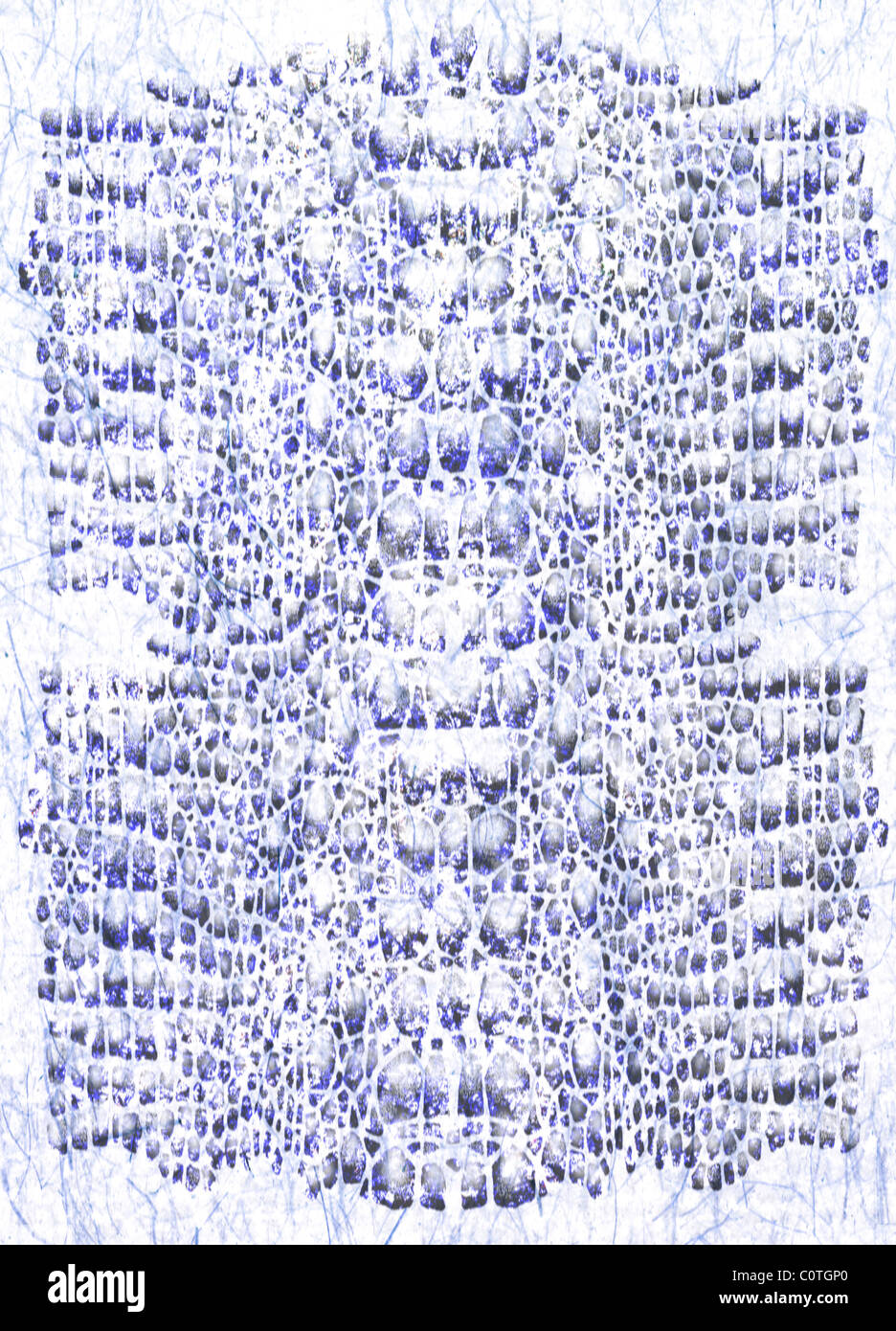 Crocodile pattern hi-res stock photography and images - Alamy