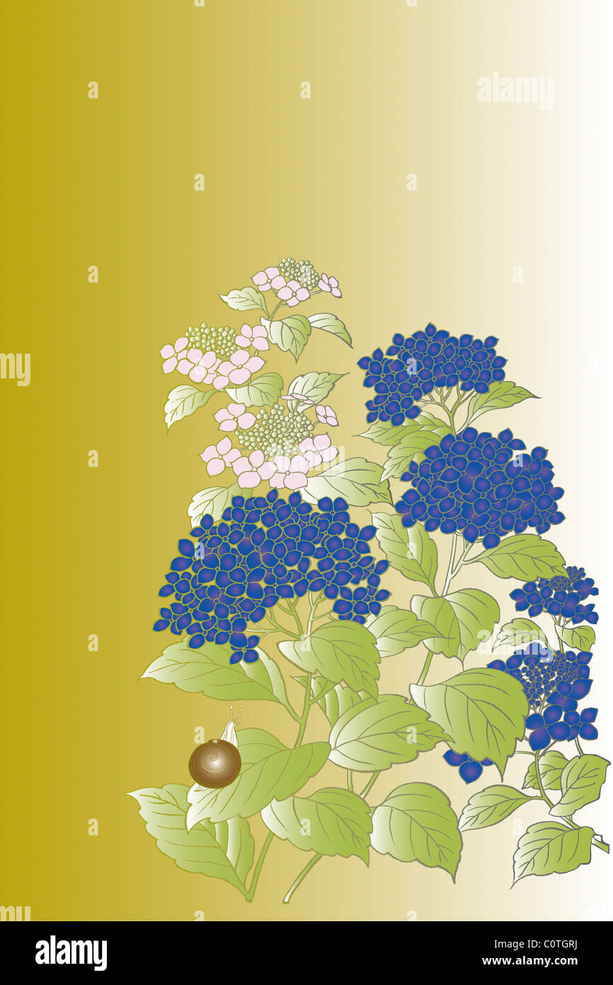 Hydrangea painting hi-res stock photography and images - Alamy