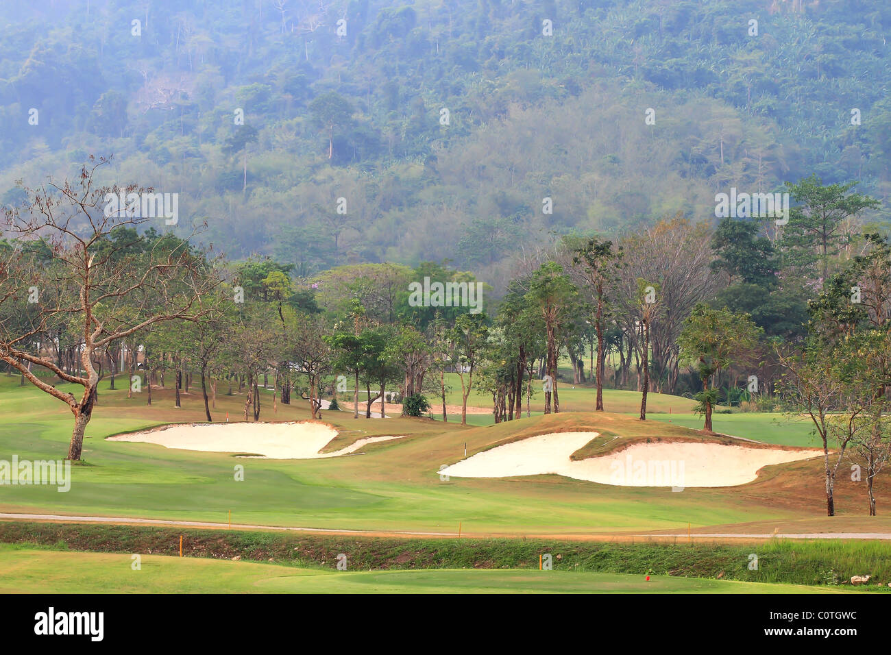 golfers playing golf Stock Photo - Alamy