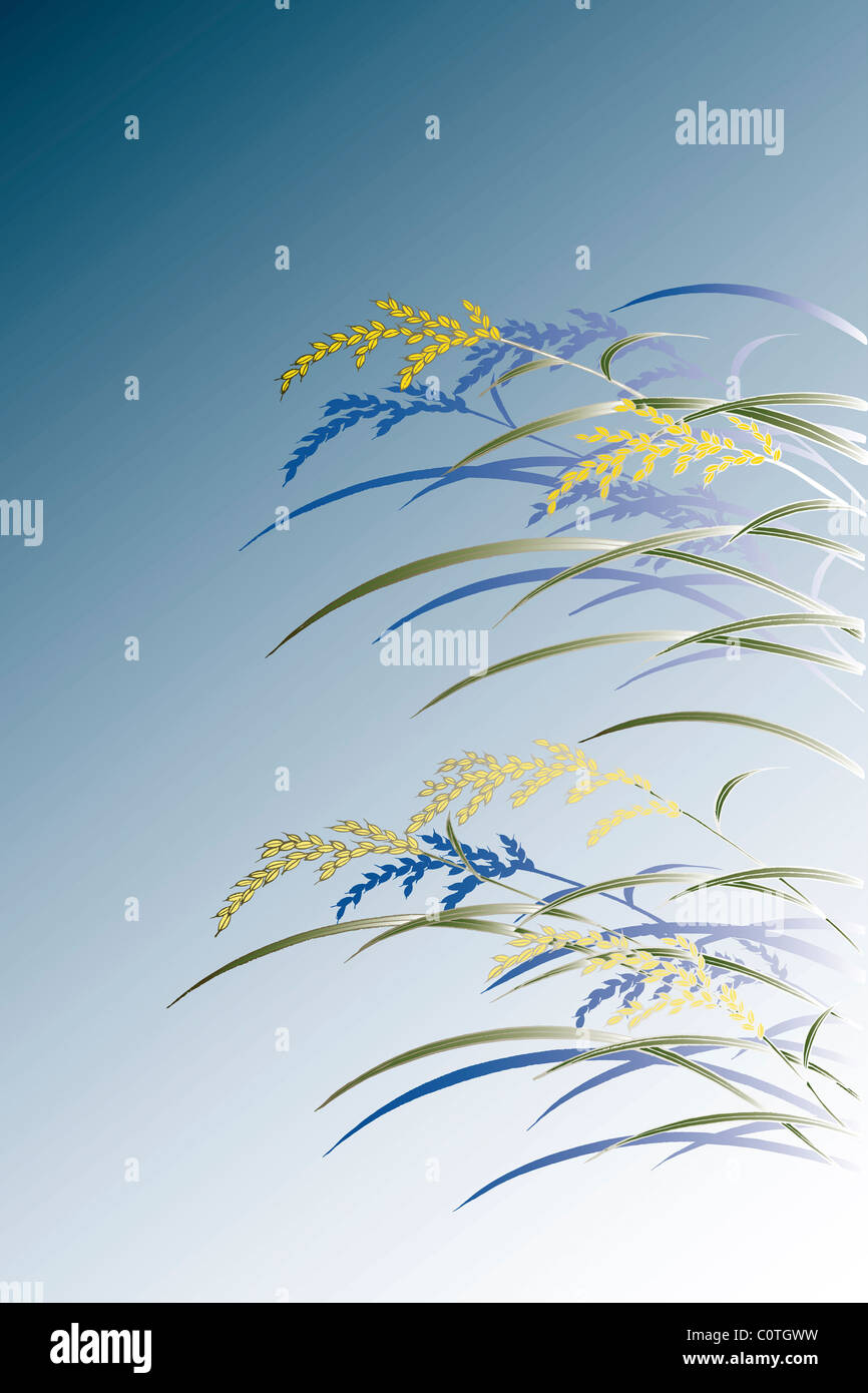 CG of Japanese Painting, Ears of Rice Stock Photo - Alamy