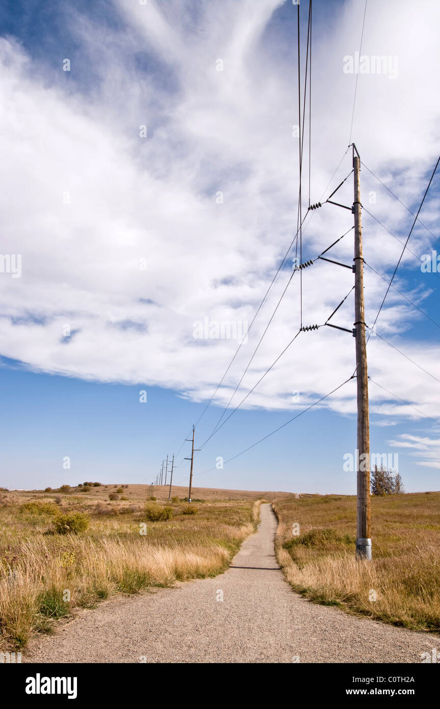 Power lines bordering walking/running trails in a large park located in ...