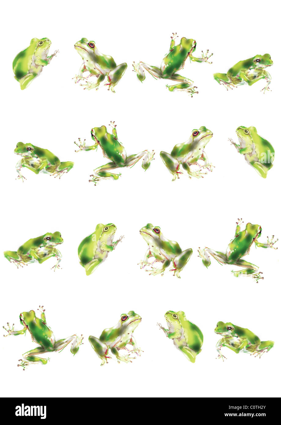 Japanese tree frog hi-res stock photography and images - Alamy