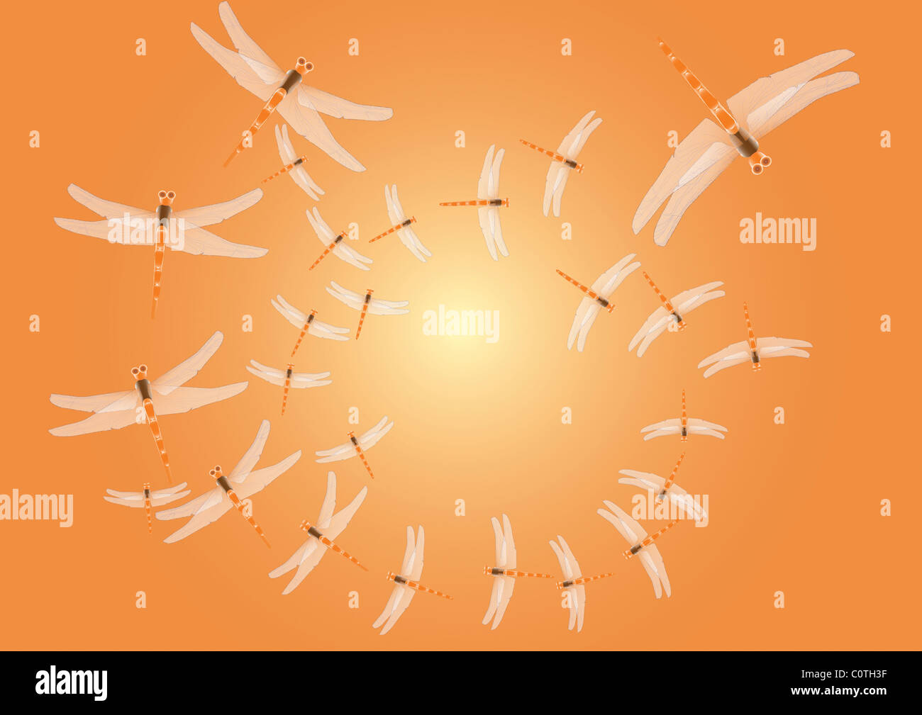 Pattern of Japanese Painting, Dragonfly Stock Photo - Alamy