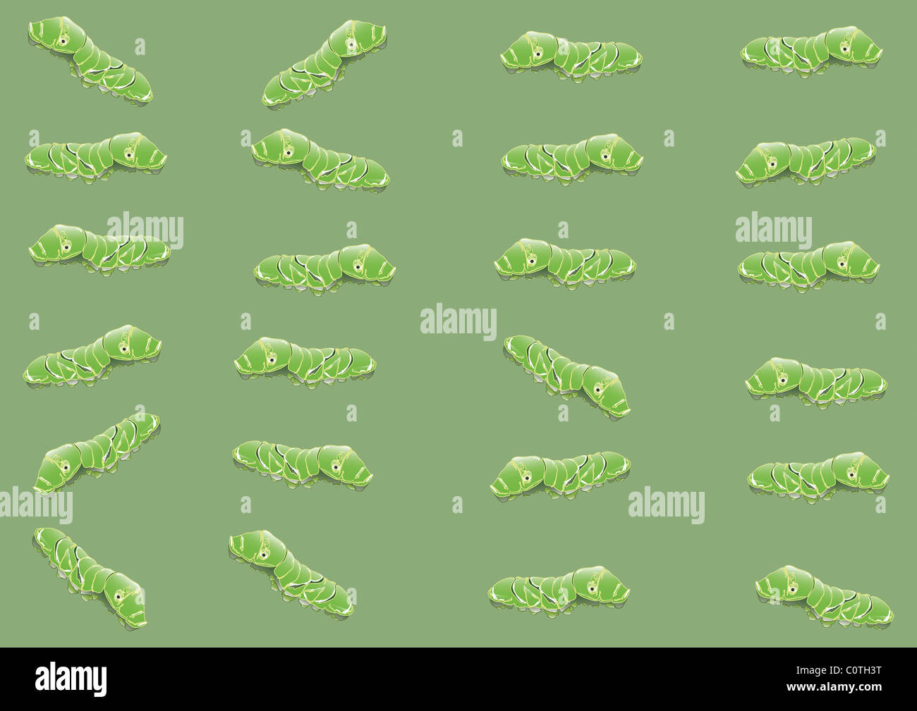 Caterpillar pattern hi-res stock photography and images - Alamy