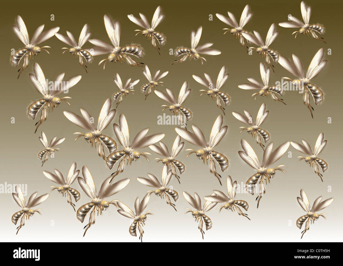 Pattern of Japanese Painting, Bee Stock Photo - Alamy
