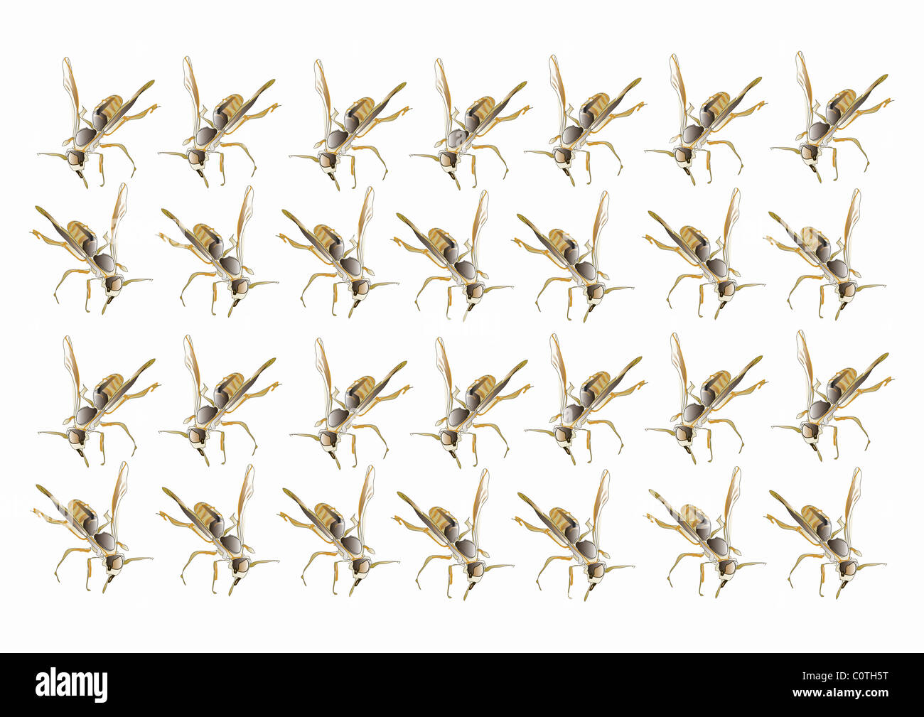 Painting of bee Cut Out Stock Images & Pictures - Alamy