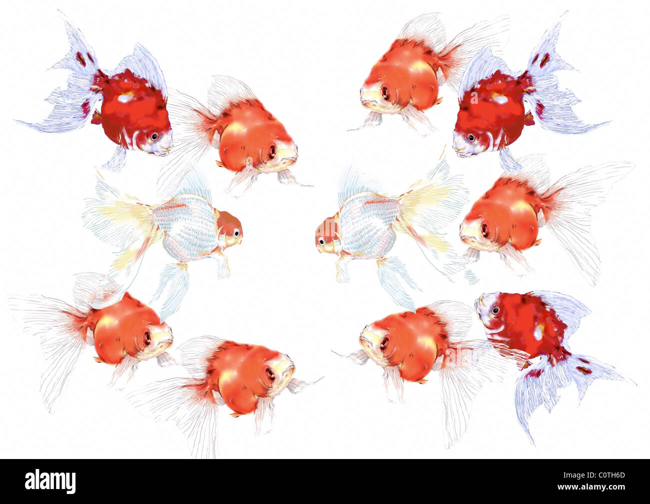 Pattern of Japanese Painting, Goldfish Stock Photo - Alamy