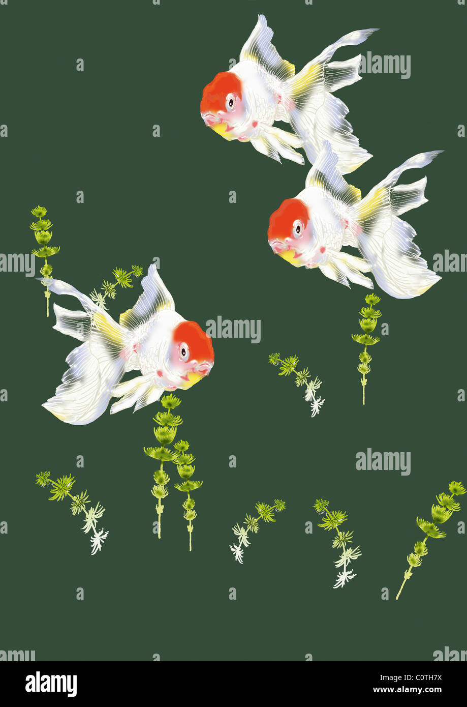 Japanese Goldfish Painting