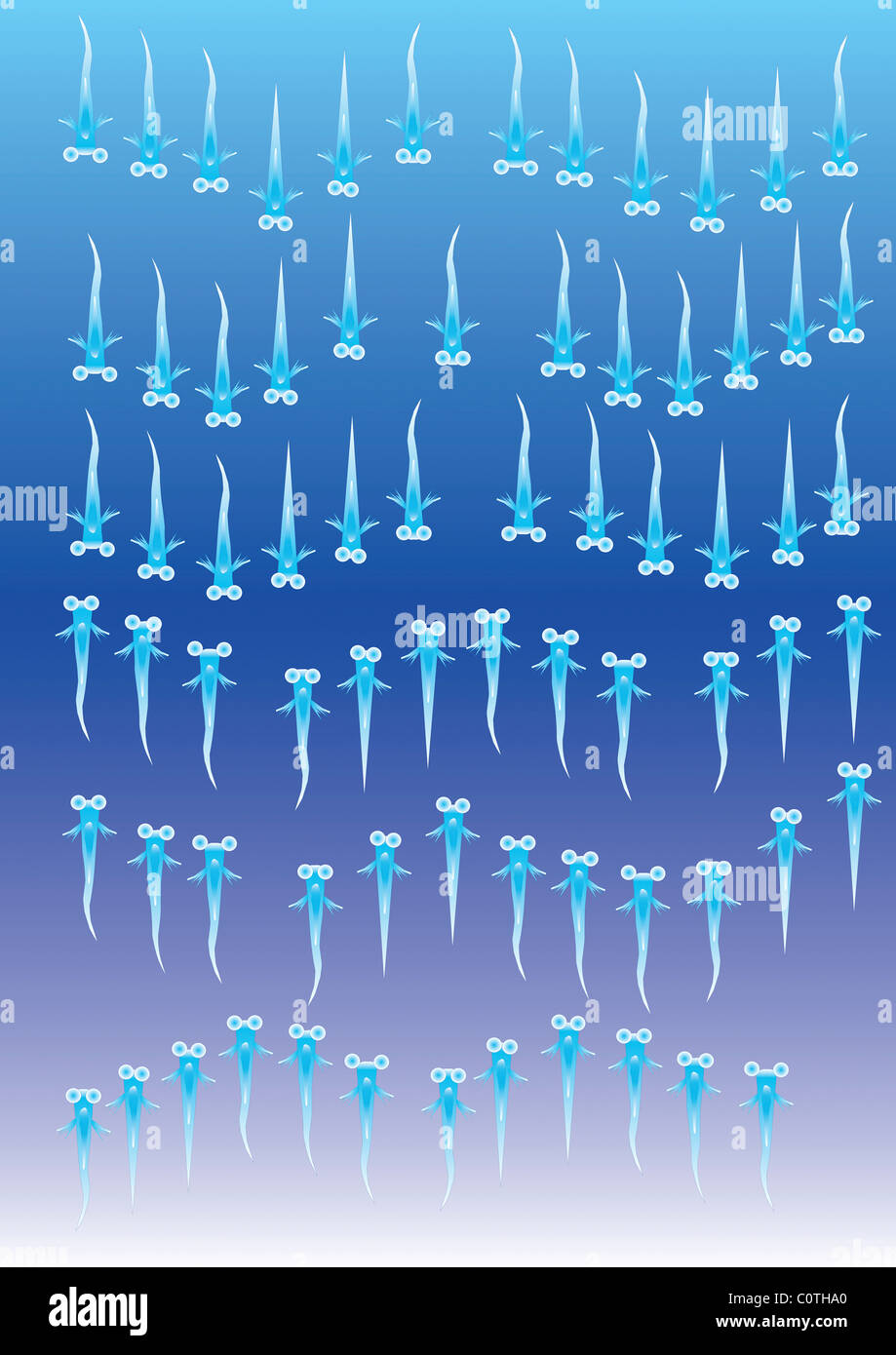 Medaka hi-res stock photography and images - Alamy