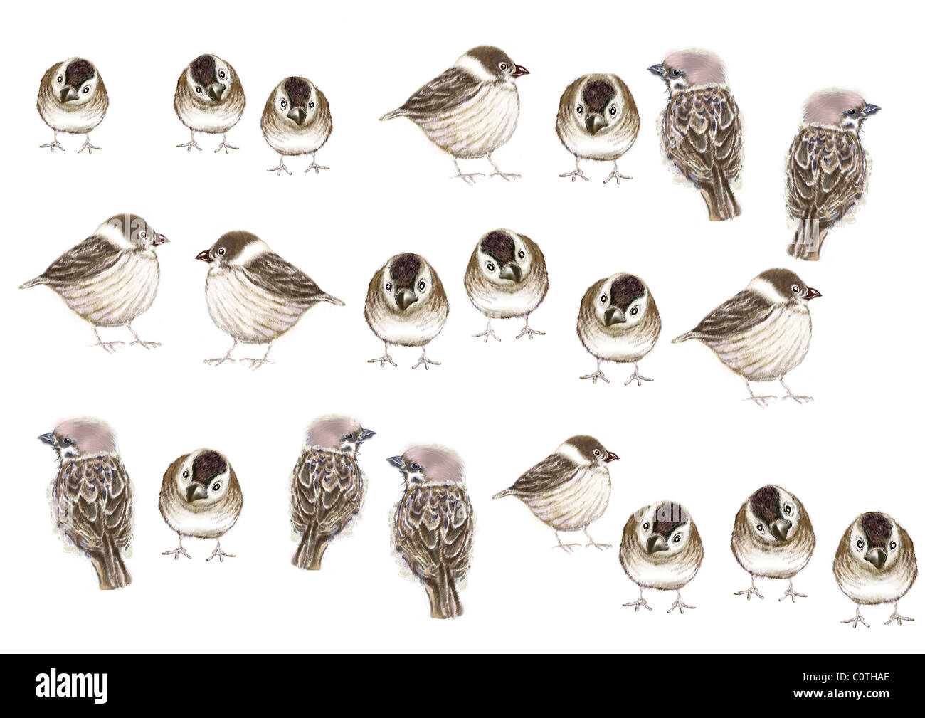 Painting tree hi-res stock photography and images - Alamy