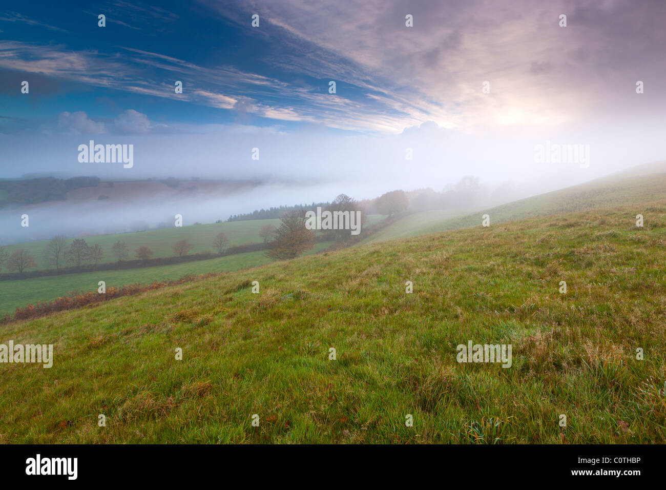 Shobrooke hi-res stock photography and images - Alamy