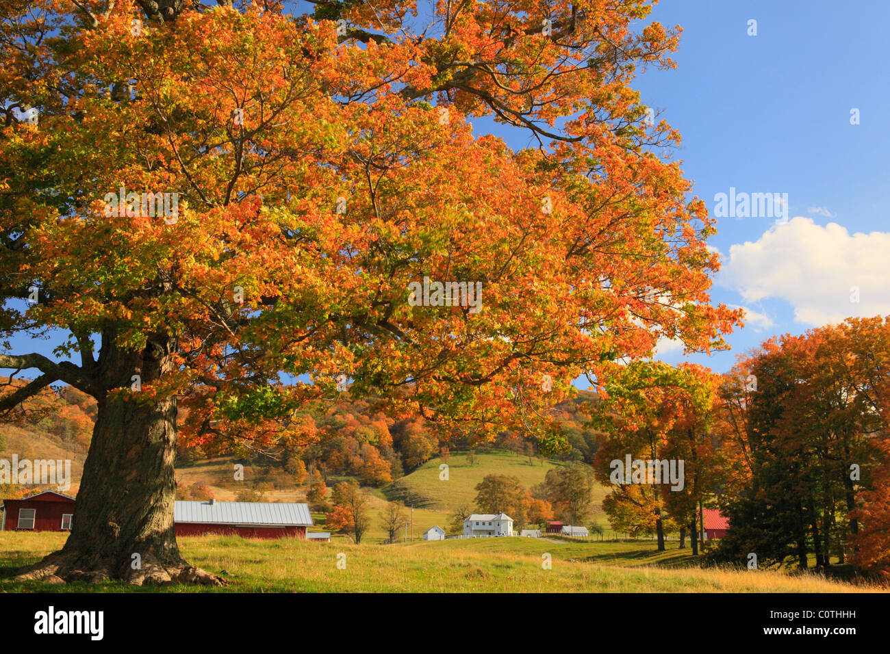 Highland county foliage tourist hi-res stock photography and images - Alamy