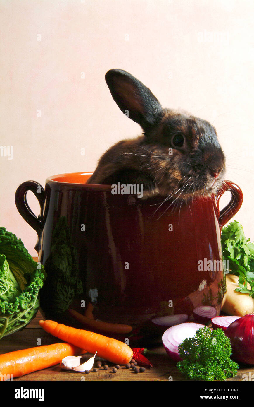 Rabbit in a pot with vegetables Stock Photo - Alamy