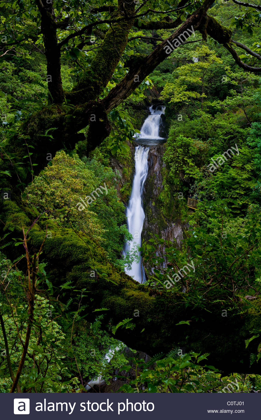 Mynach Falls High Resolution Stock Photography and Images - Alamy