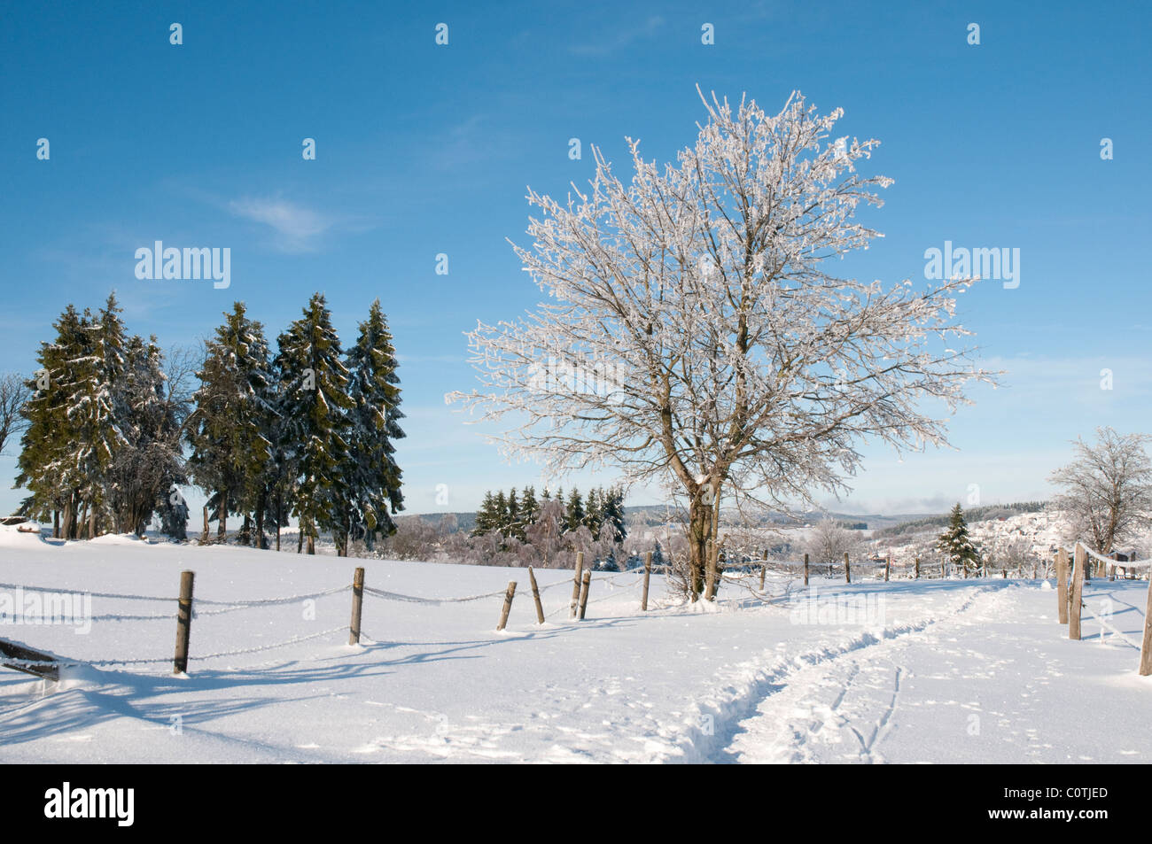 Footpath trough snow winterberg sauerland hi-res stock photography and ...