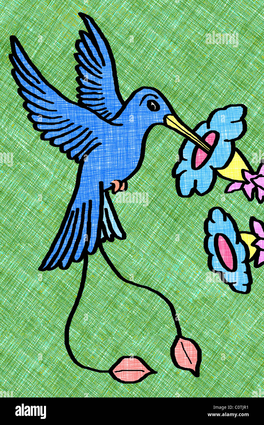 Infant drawing of hummingbird gathering nectar from flower Stock Photo ...