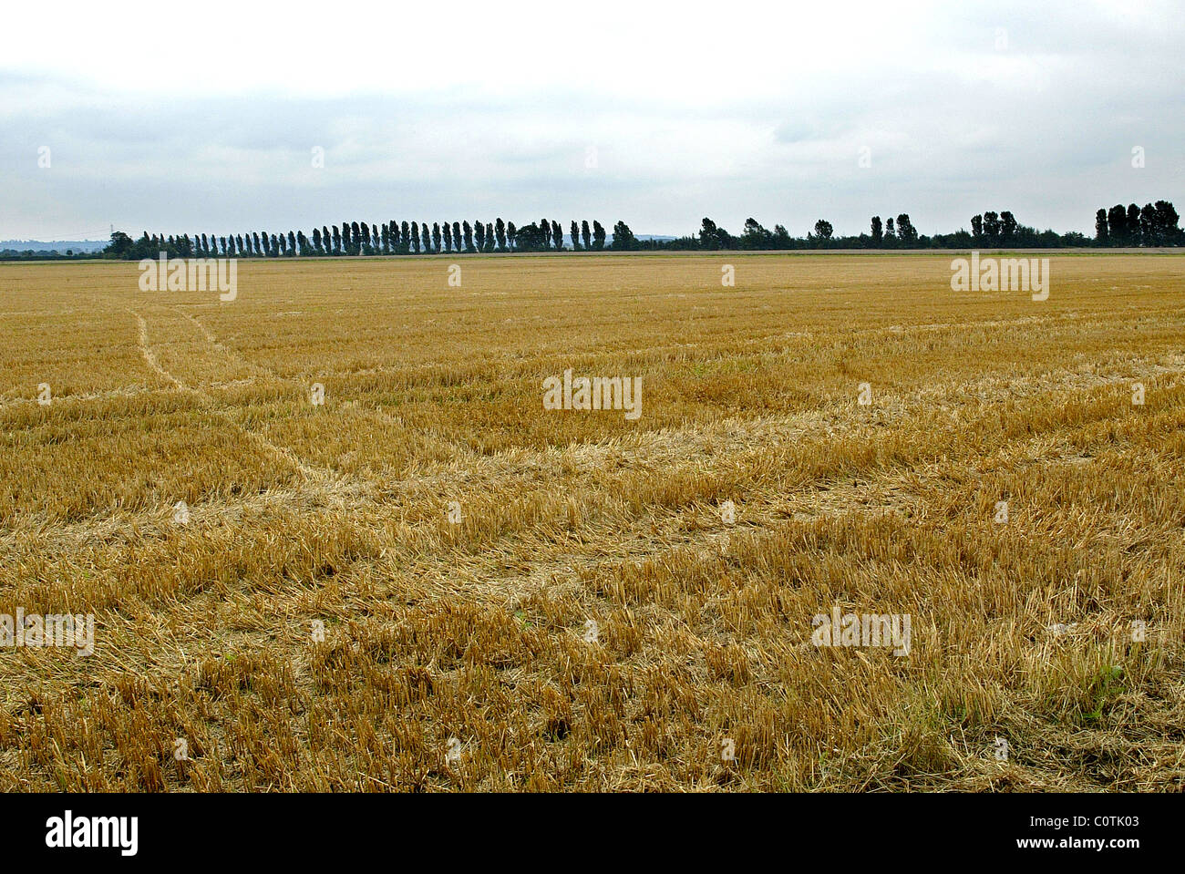 Fen field hi-res stock photography and images - Alamy