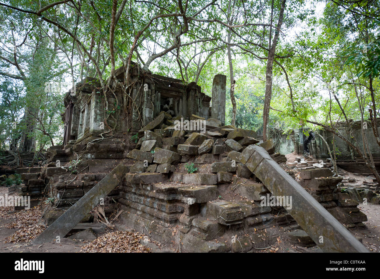 The mysterious Beng Mealea temple of Angkor, Cambodia Stock Photo - Alamy