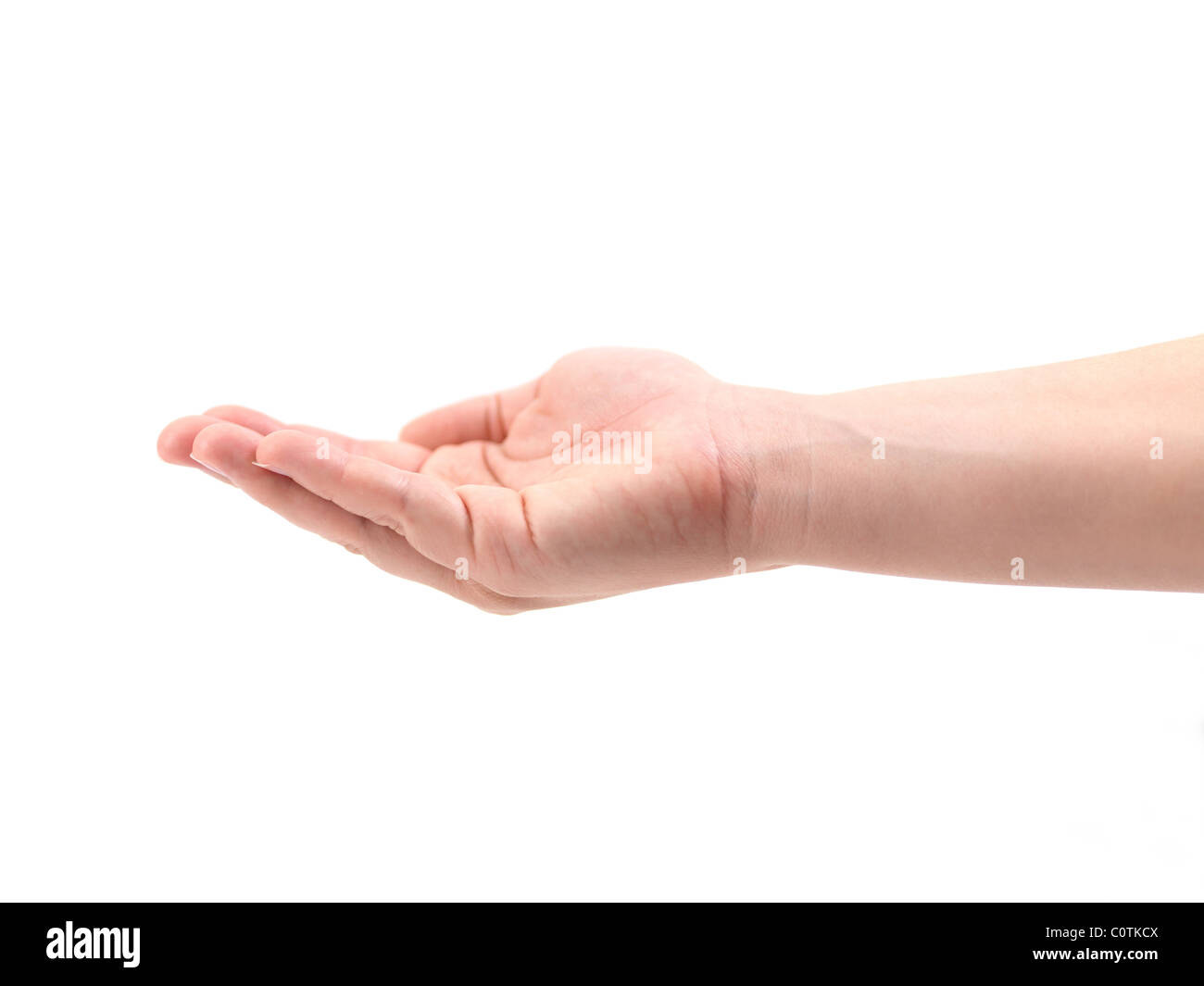 A female hand isolated against a white background Stock Photo - Alamy