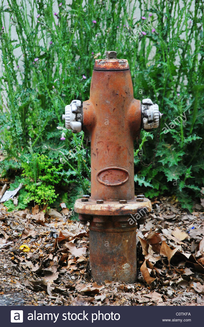 Antique Water Hydrant High Resolution Stock Photography and Images - Alamy