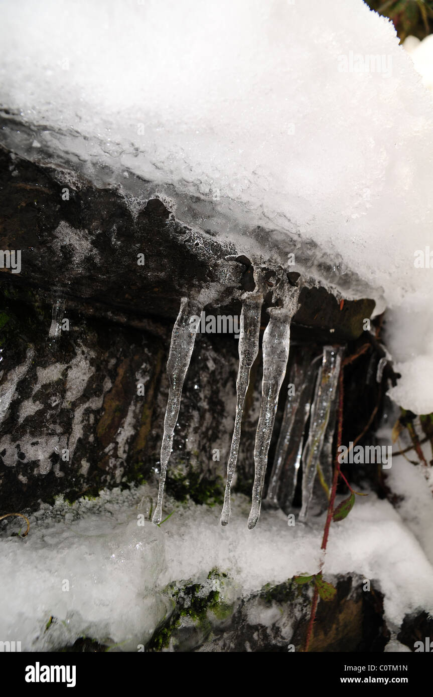 Frozen icicle hi-res stock photography and images - Alamy