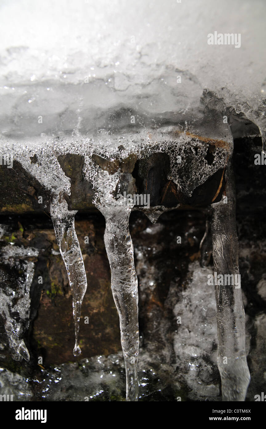 Froze icily hi-res stock photography and images - Alamy