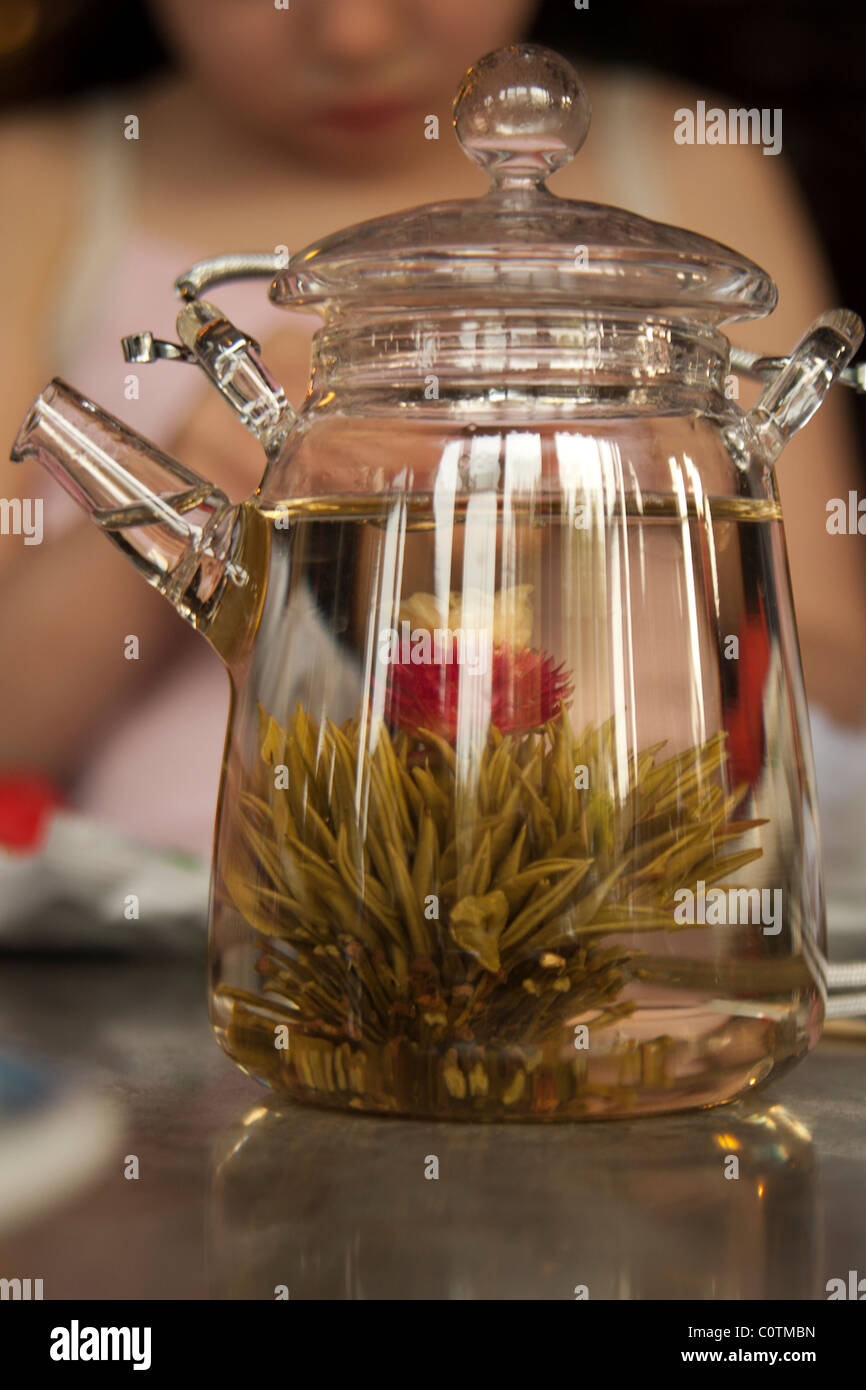 Lotus flower inside a tea pot Stock Photo - Alamy