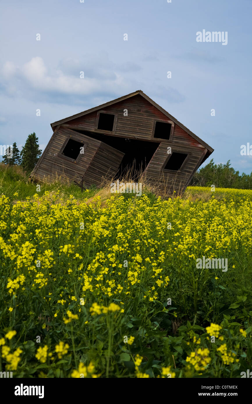 Canadian prairies grassland hi-res stock photography and images - Alamy