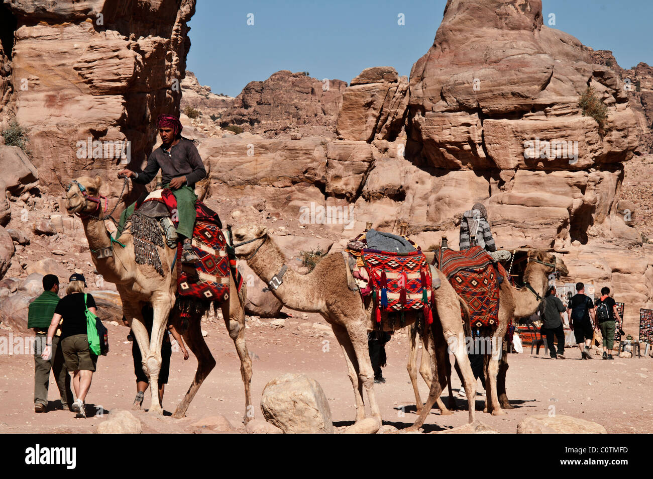 Petra royal kingdom of Jordan tourism and camel rides Stock Photo - Alamy