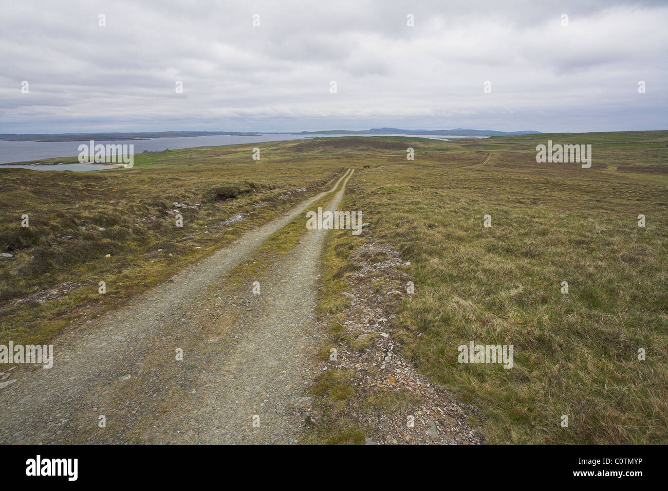 Gallow Hill, Fetlar, Shetland Isles in June Stock Photo - Alamy