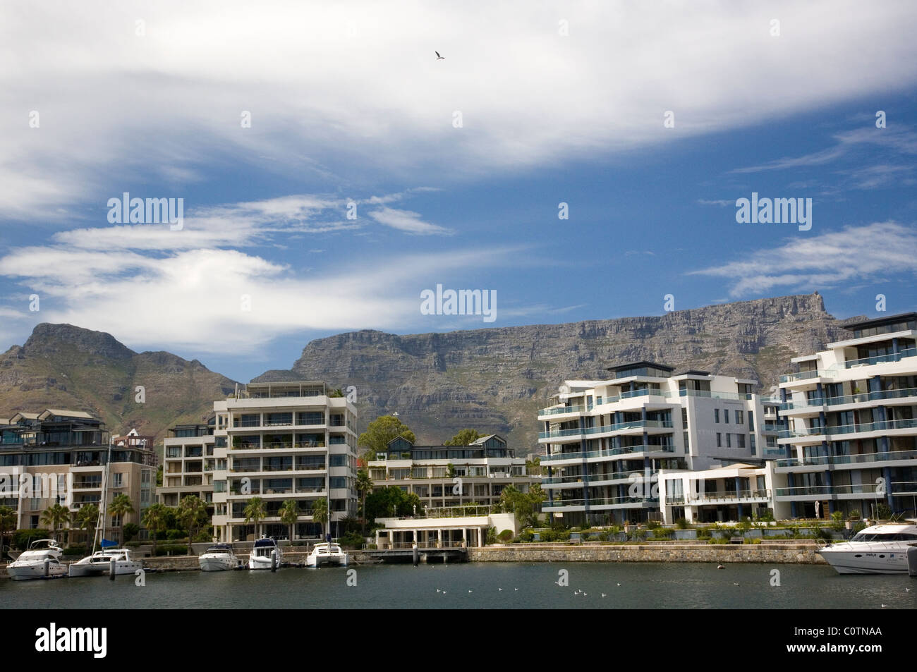 Victoria basin hi-res stock photography and images - Alamy