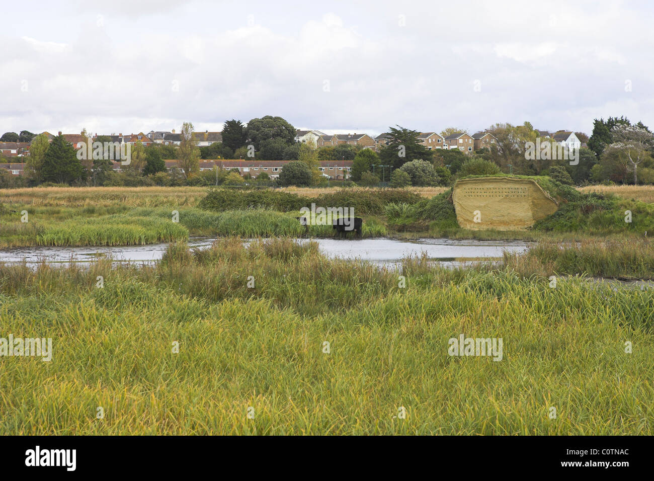 Radipole Lake, Dorset in October Stock Photo - Alamy