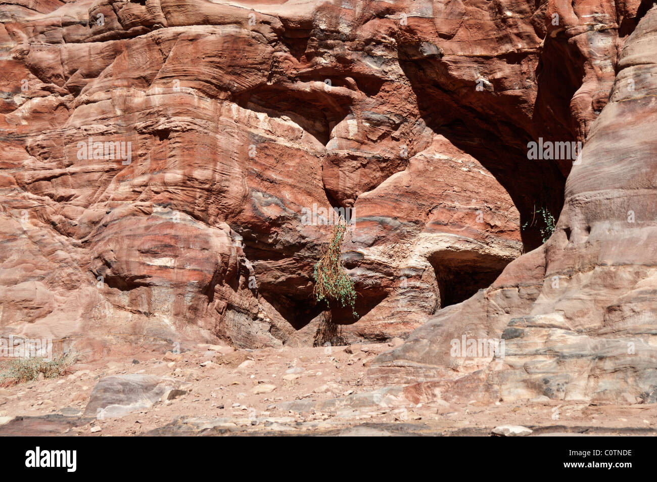 Petra royal kingdom of Jordan,rock formations and tombs Stock Photo - Alamy