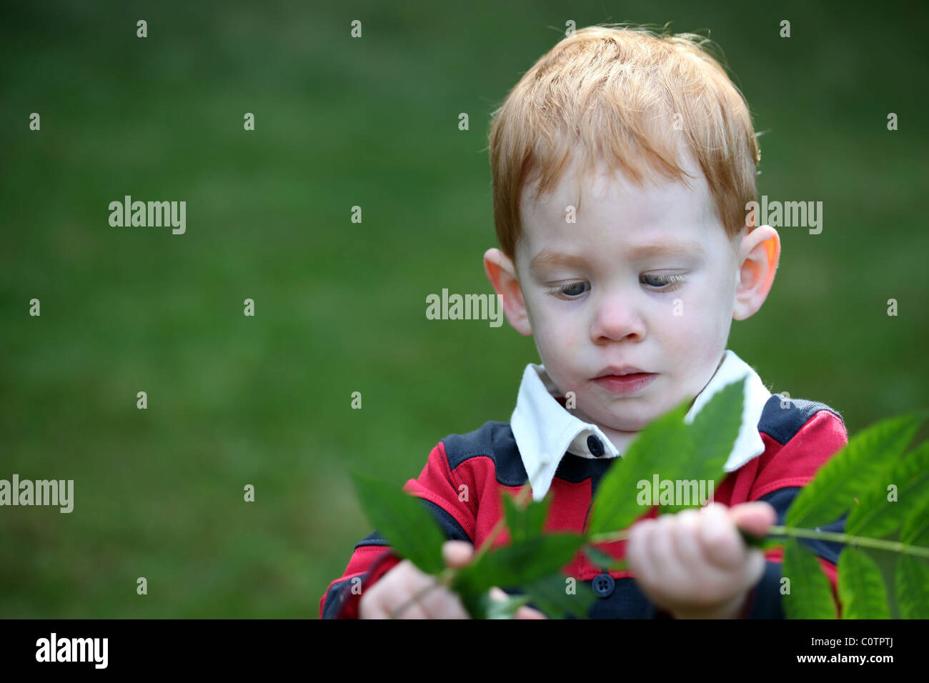 Happy boy examining a branch Stock Photo - Alamy