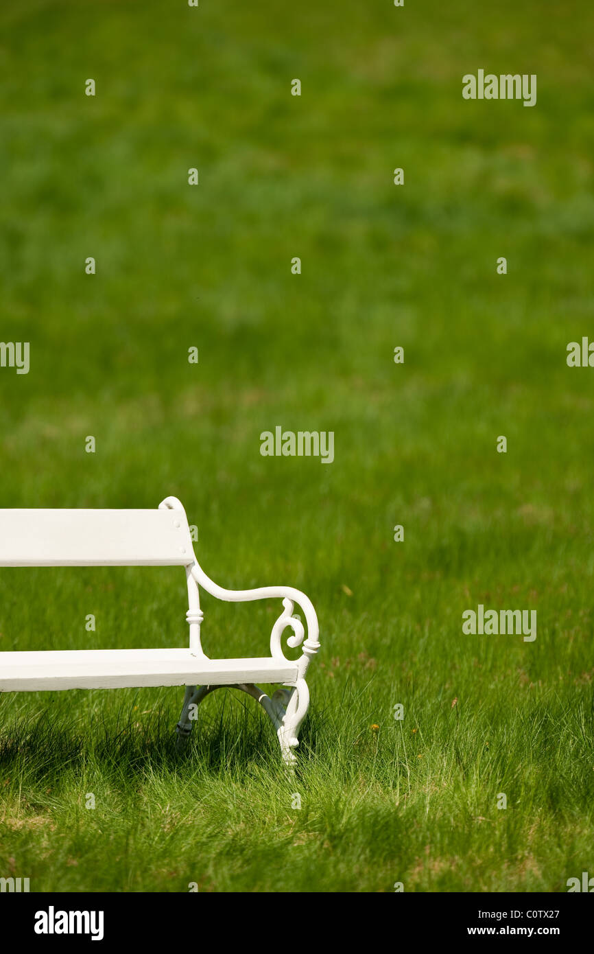 Spring and summer - White romantic bench in meadow on sunny day Stock ...